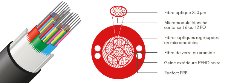 Découvrez notre Gamme de Câbles Micromodules - FOLAN