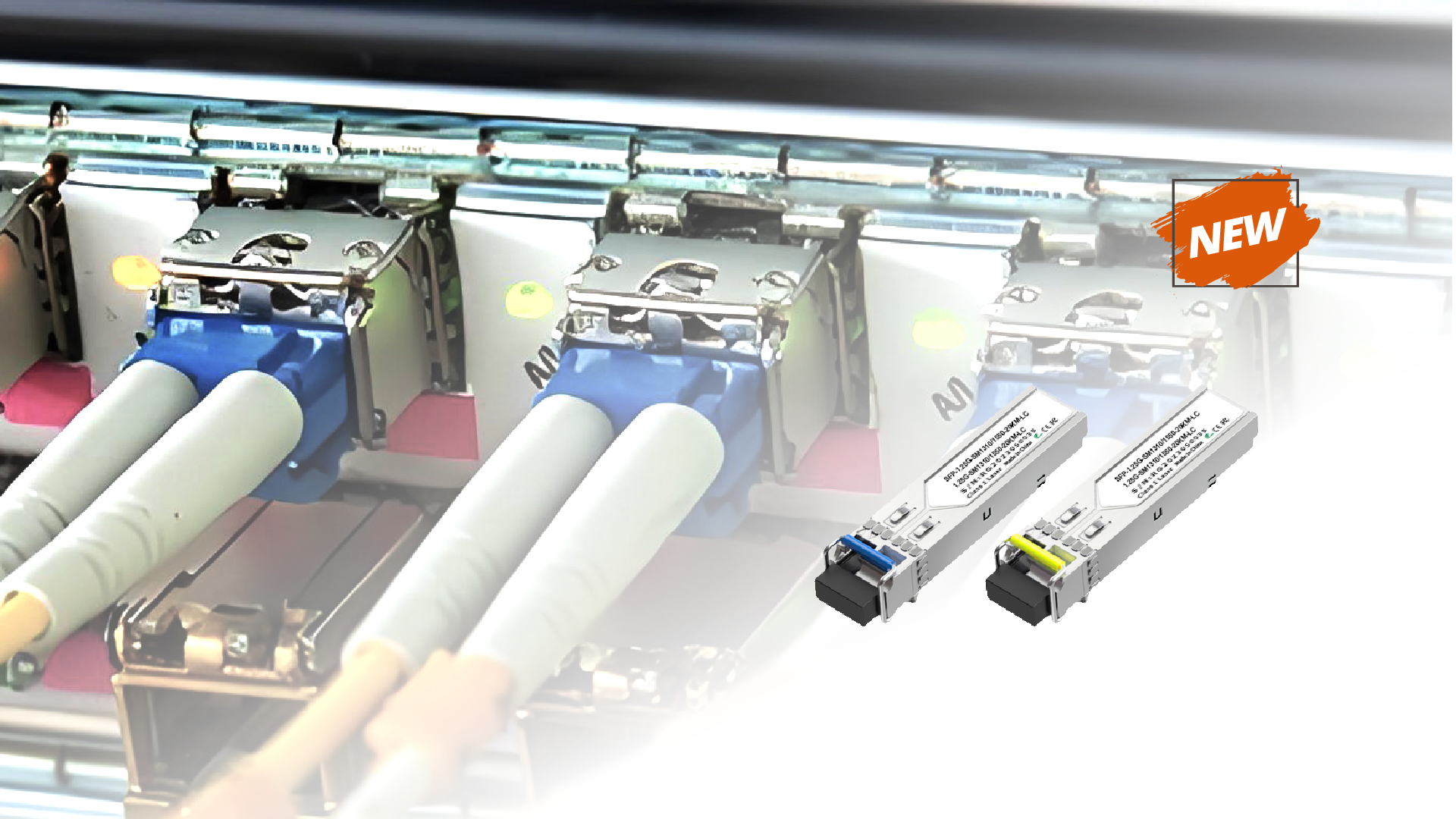 Data & Telecom Specialist - FOLAN